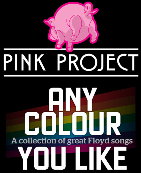 Pink Project Tours – Pink Project
